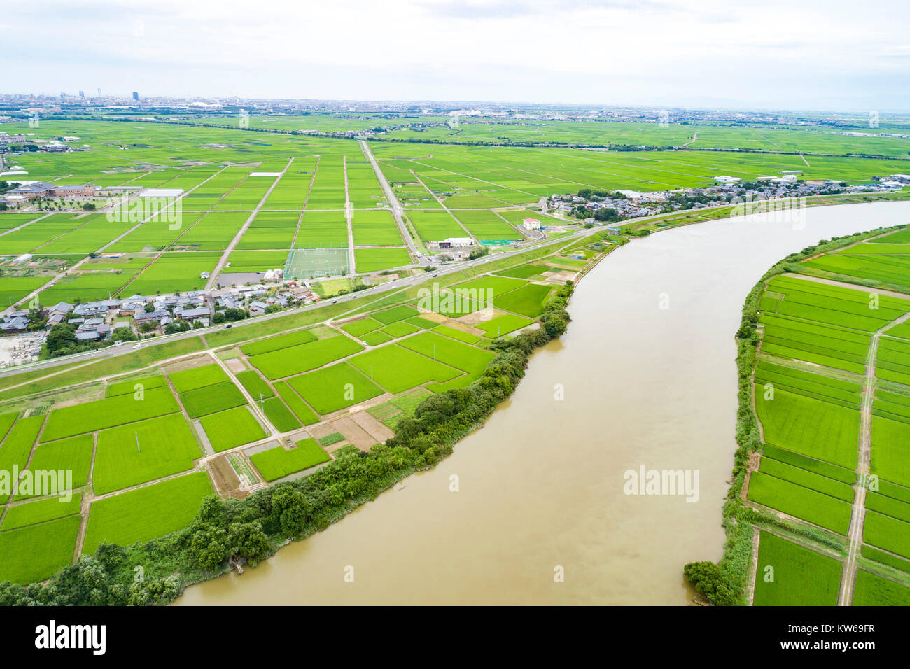 Rice Field, Minami-Ku, Niigata City, Niigata Prefecture, Japan Stock ...