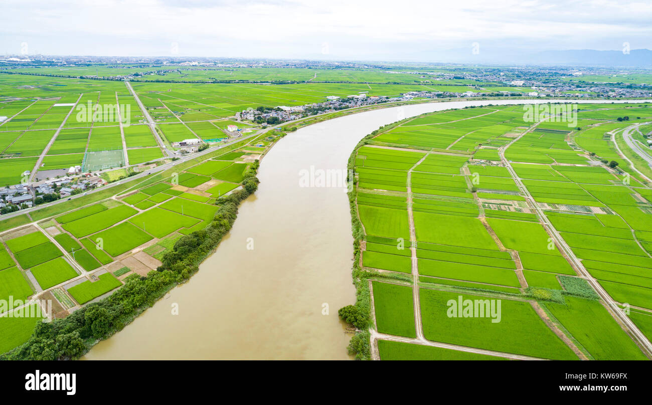 Rice Field, Minami-Ku, Niigata City, Niigata Prefecture, Japan Stock ...