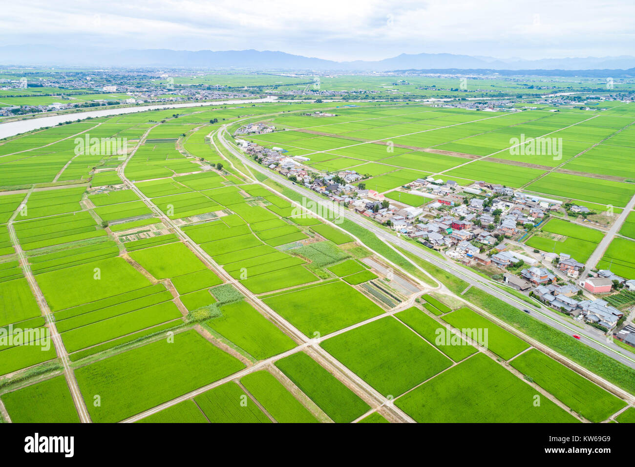 Rice Field, Minami-Ku, Niigata City, Niigata Prefecture, Japan Stock ...