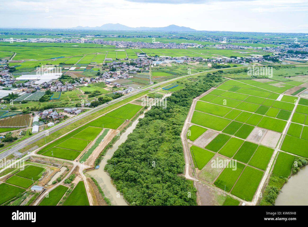 Rice Field, Minami-Ku, Niigata City, Niigata Prefecture, Japan Stock ...