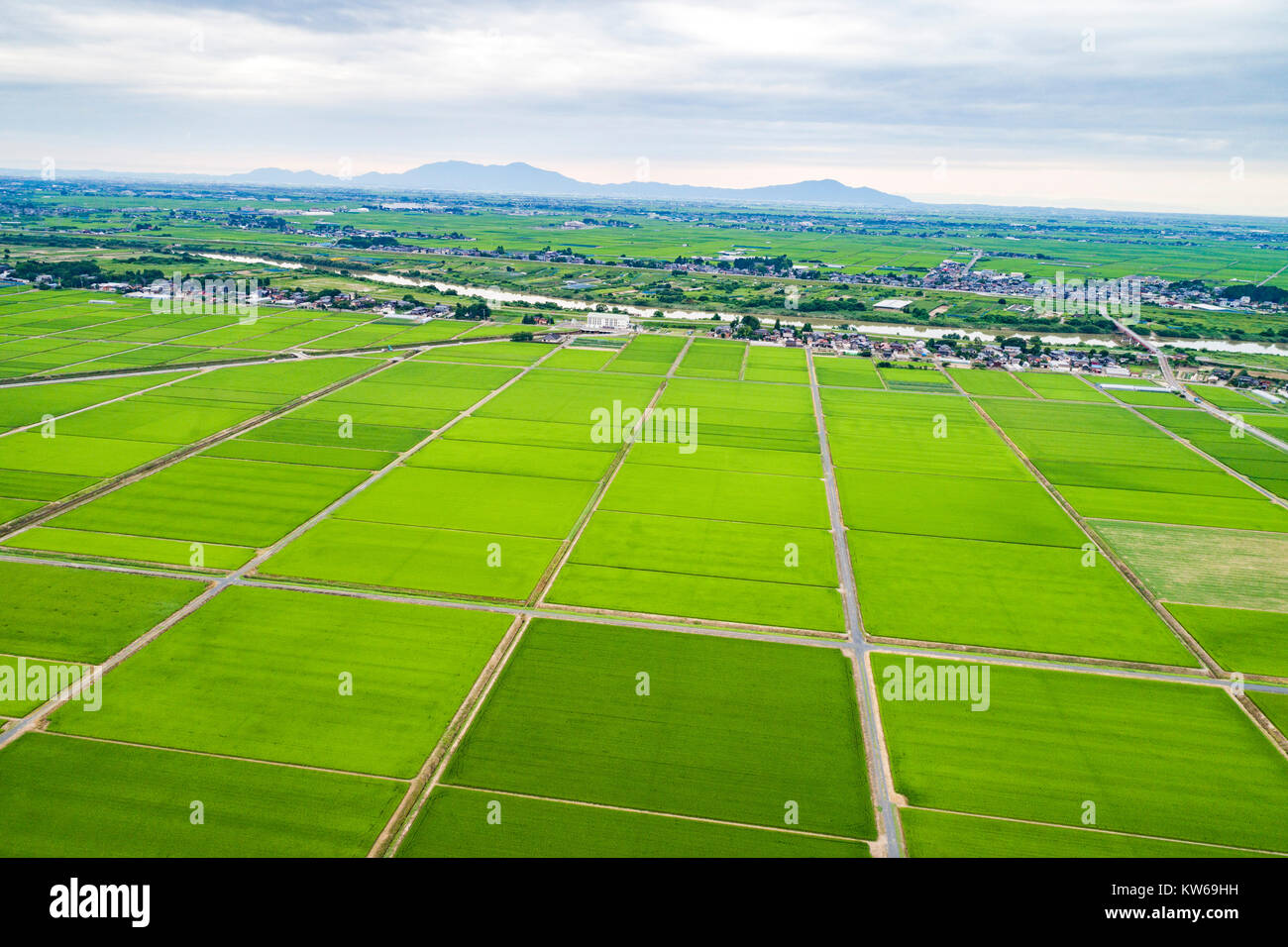 Rice Field, Tagami Town, Minamikanbara District, Niigata Prefecture ...