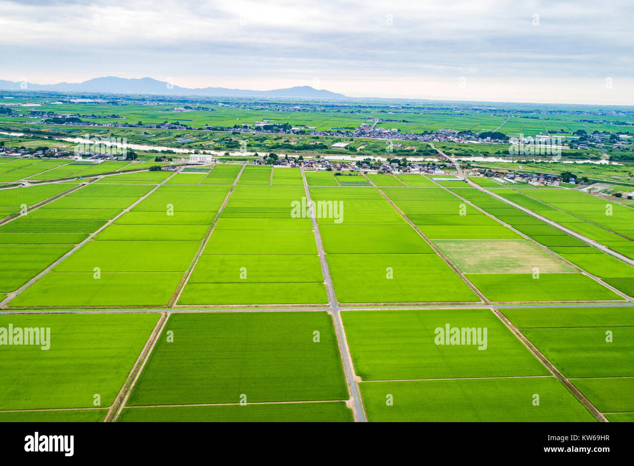 Rice Field, Tagami Town, Minamikanbara District, Niigata Prefecture ...