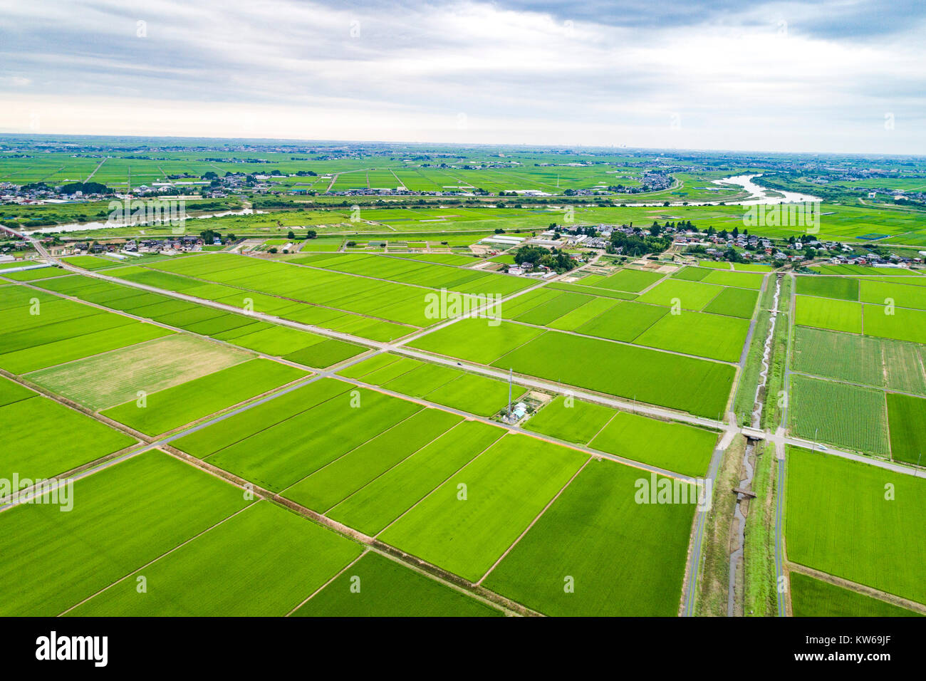 Rice Field, Tagami Town, Minamikanbara District, Niigata Prefecture ...