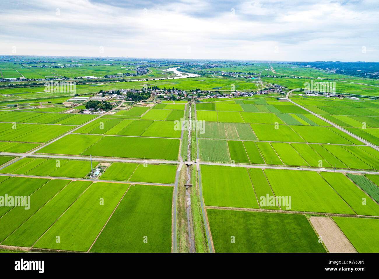 Rice Field, Tagami Town, Minamikanbara District, Niigata Prefecture ...
