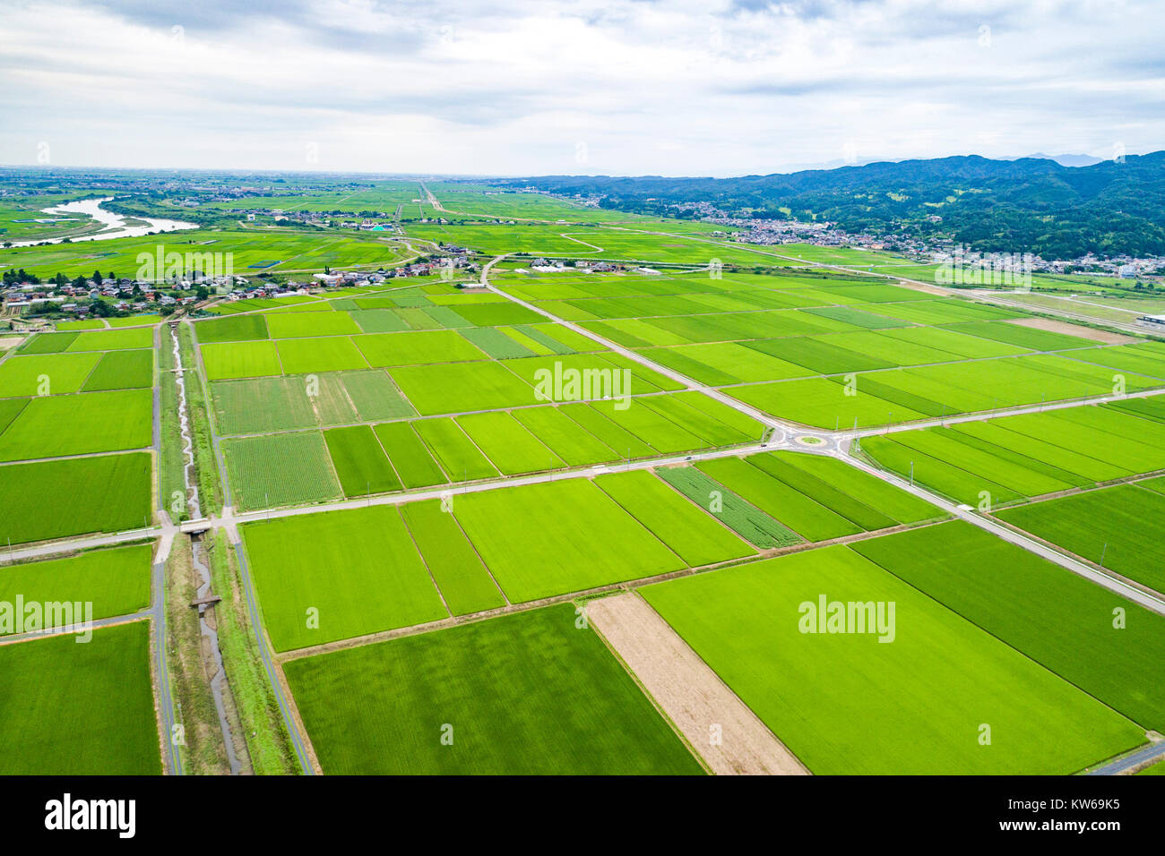 Rice Field, Tagami Town, Minamikanbara District, Niigata Prefecture ...