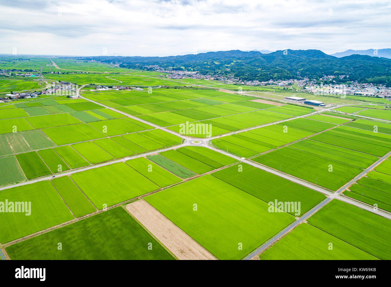 Rice Field, Tagami Town, Minamikanbara District, Niigata Prefecture ...