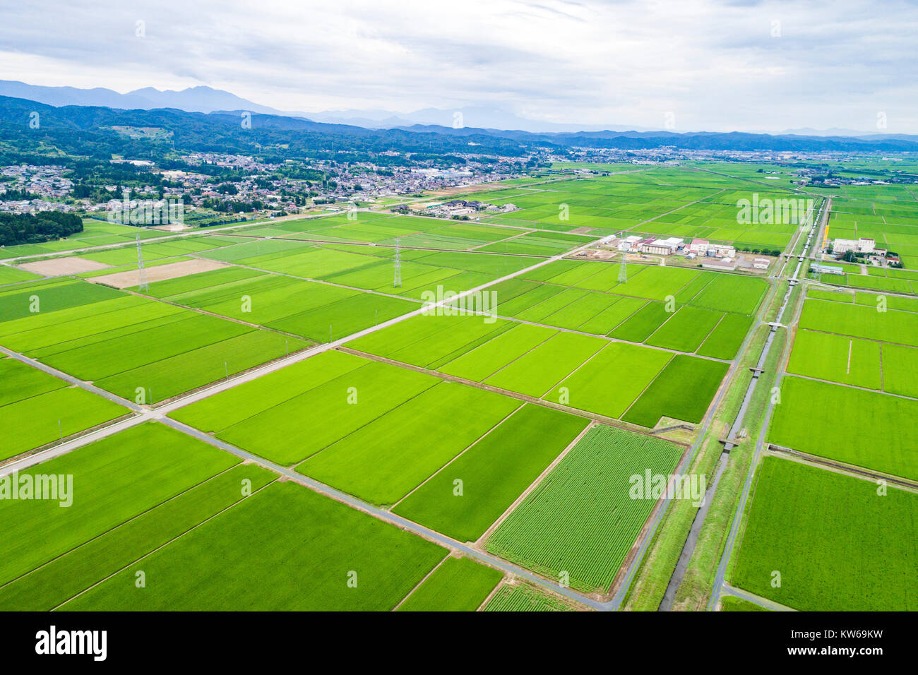 Rice Field, Tagami Town, Minamikanbara District, Niigata Prefecture ...