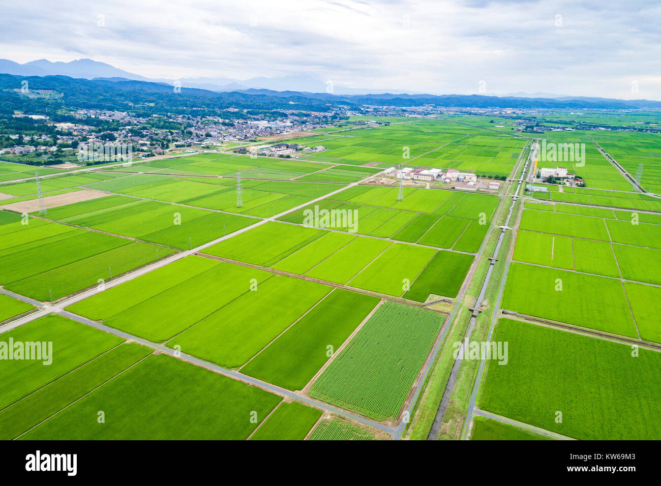 Rice Field, Tagami Town, Minamikanbara District, Niigata Prefecture ...