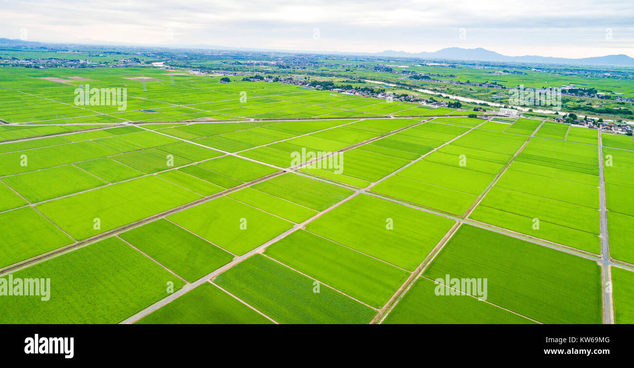 Rice Field, Tagami Town, Minamikanbara District, Niigata Prefecture ...