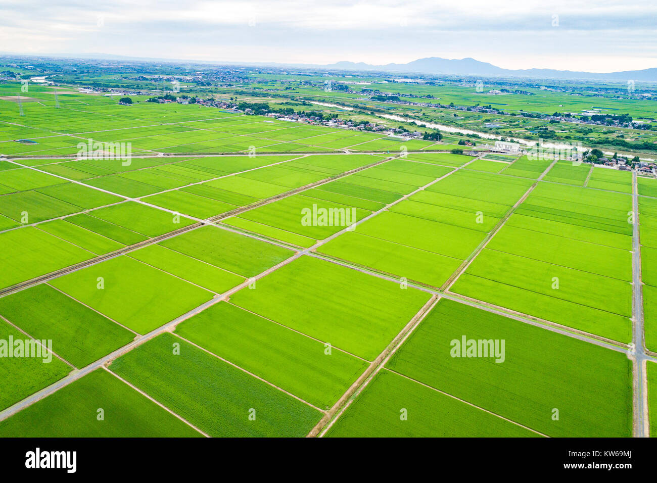 Rice Field, Tagami Town, Minamikanbara District, Niigata Prefecture ...