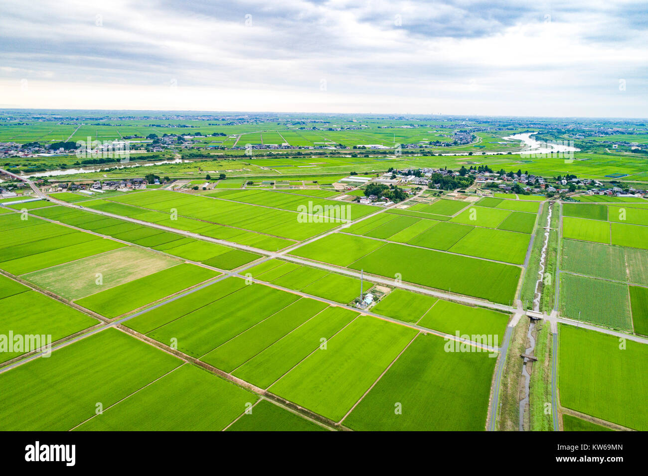 Rice Field, Tagami Town, Minamikanbara District, Niigata Prefecture ...
