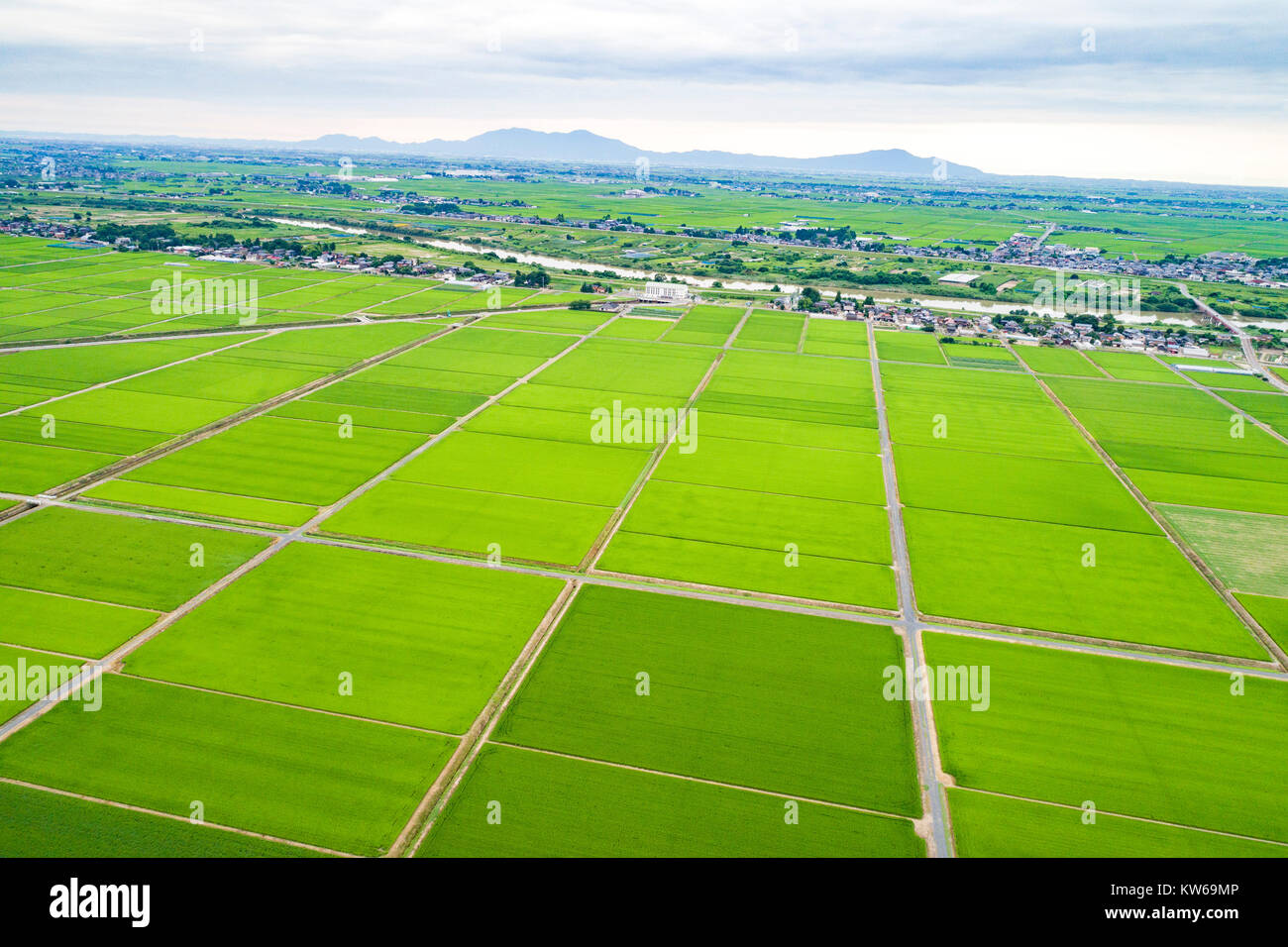 Rice Field, Tagami Town, Minamikanbara District, Niigata Prefecture ...