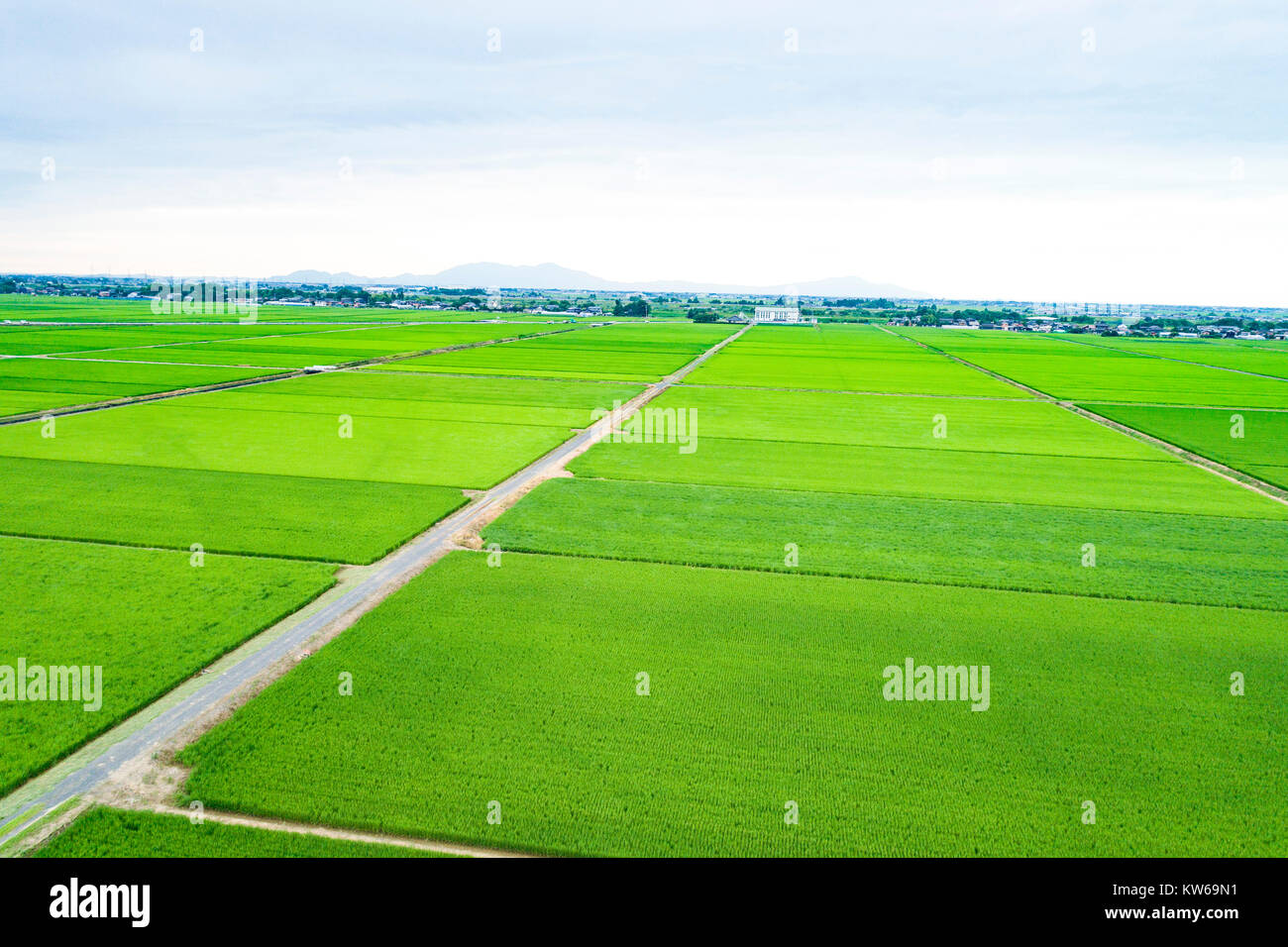 Rice Field, Tagami Town, Minamikanbara District, Niigata Prefecture ...