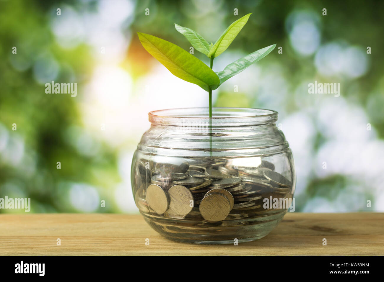 Money sapling hi-res stock photography and images - Alamy