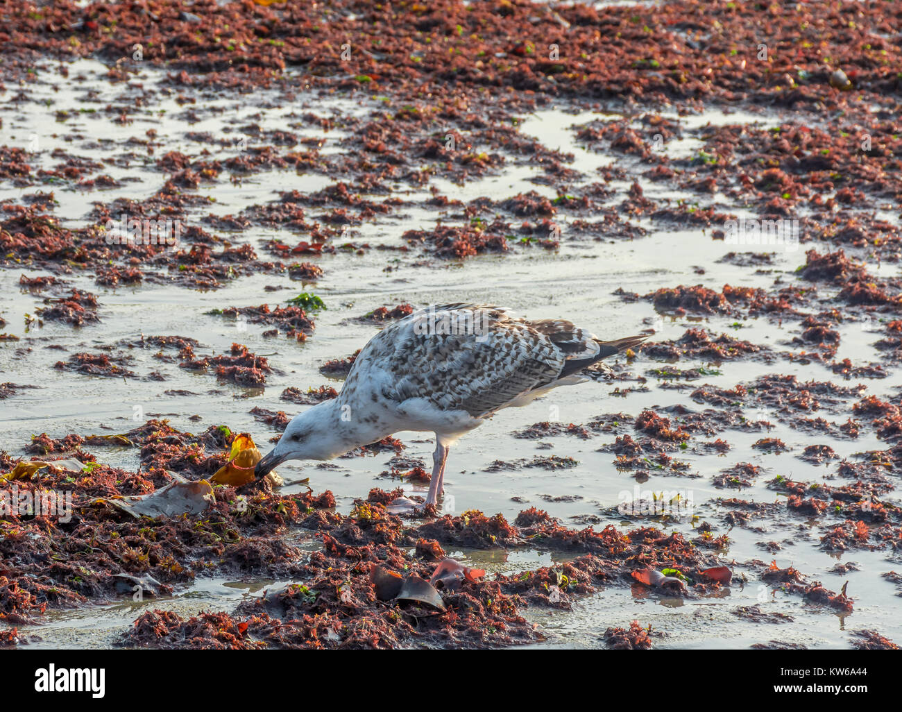 Drinking water point hi-res stock photography and images - Alamy