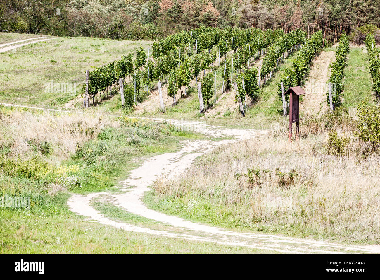 Podyjí National Park, Hnanice, wine trails, Czech Republic Europe ...