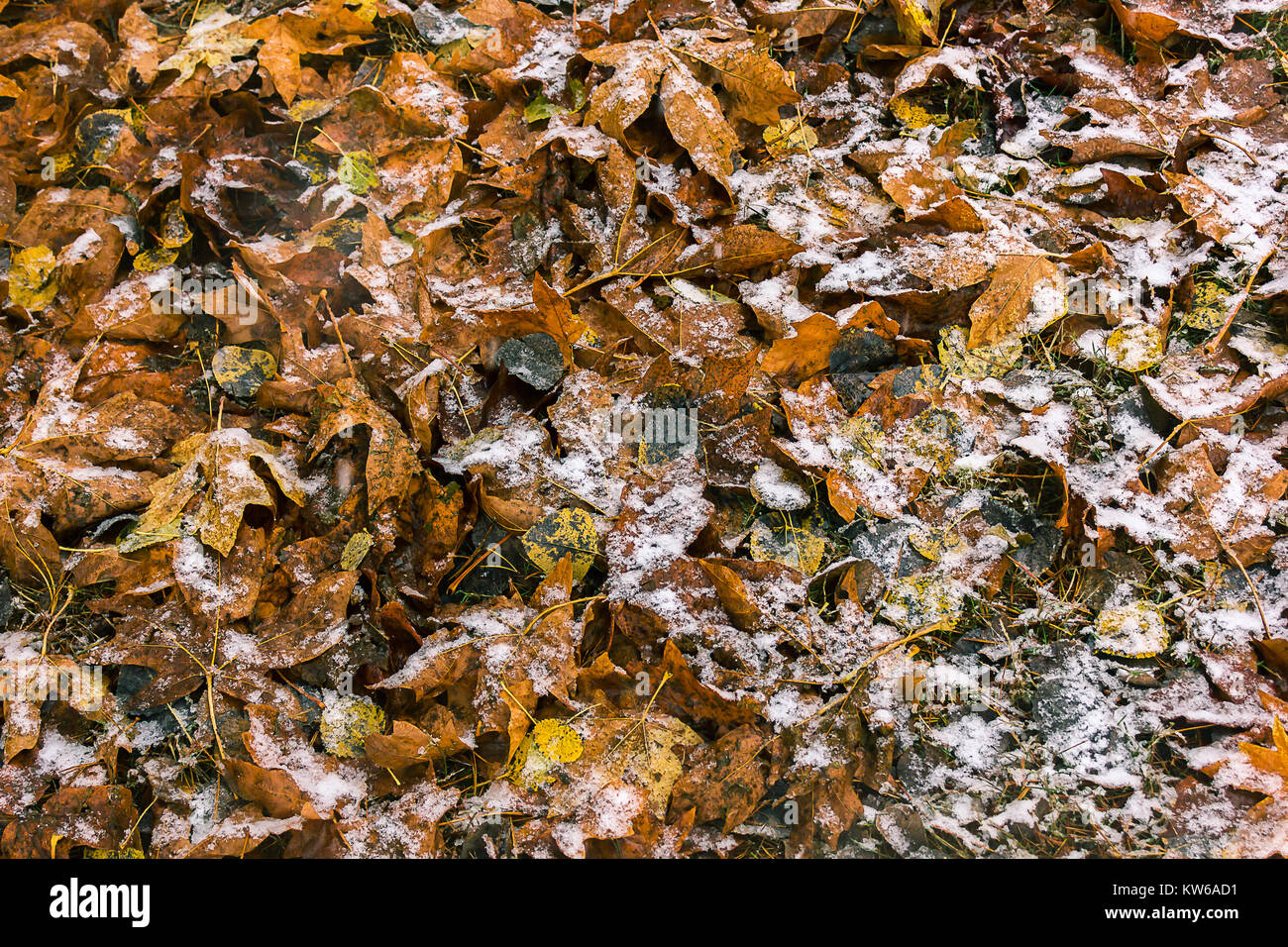 Changing of the seasons Stock Photo - Alamy