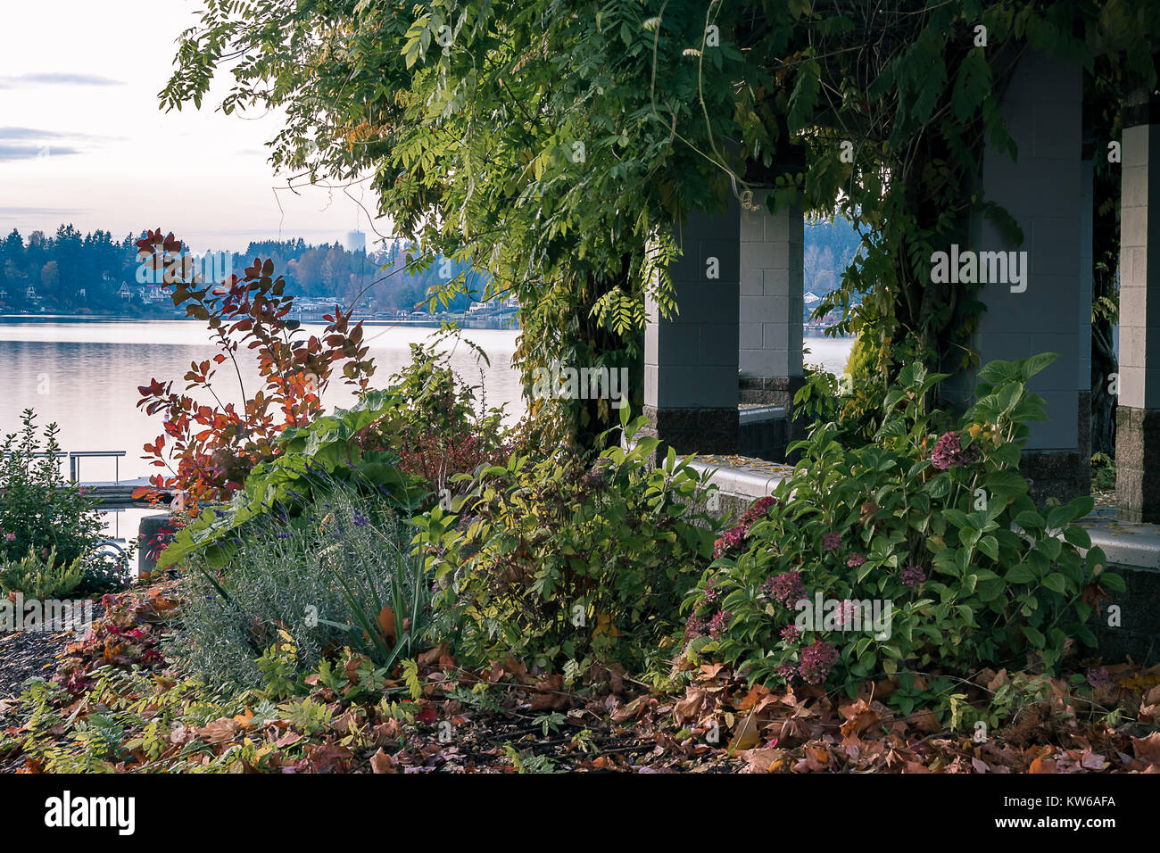 Overgrown structure near lake Stock Photo - Alamy