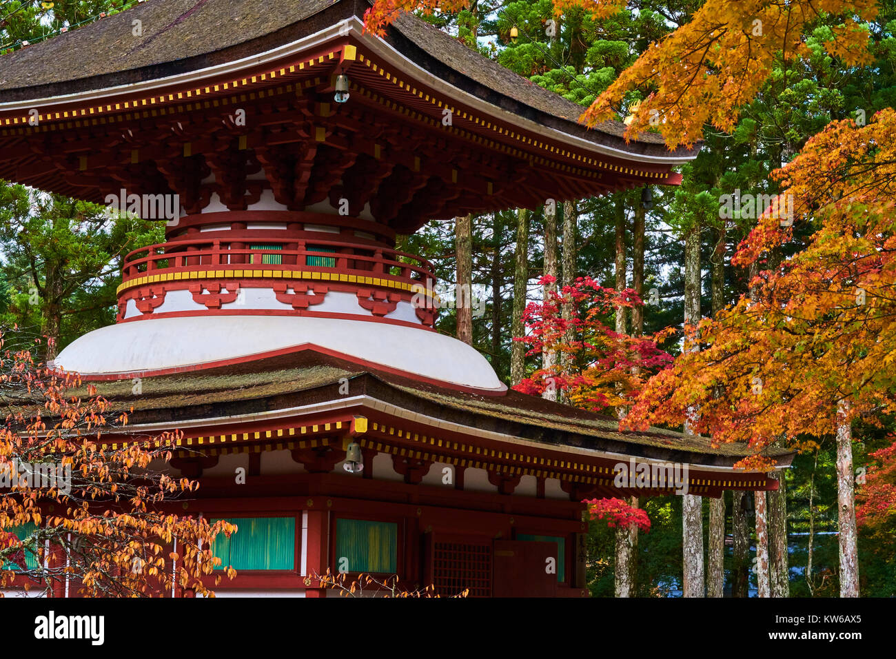 Garan tree hi-res stock photography and images - Alamy