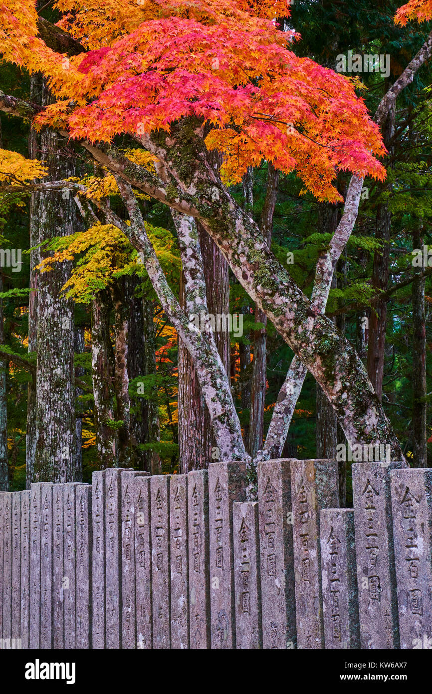 Japan, Honshu, Wakayama, Kumano Kodo pilgrimage trail, Koya San, Garan ...