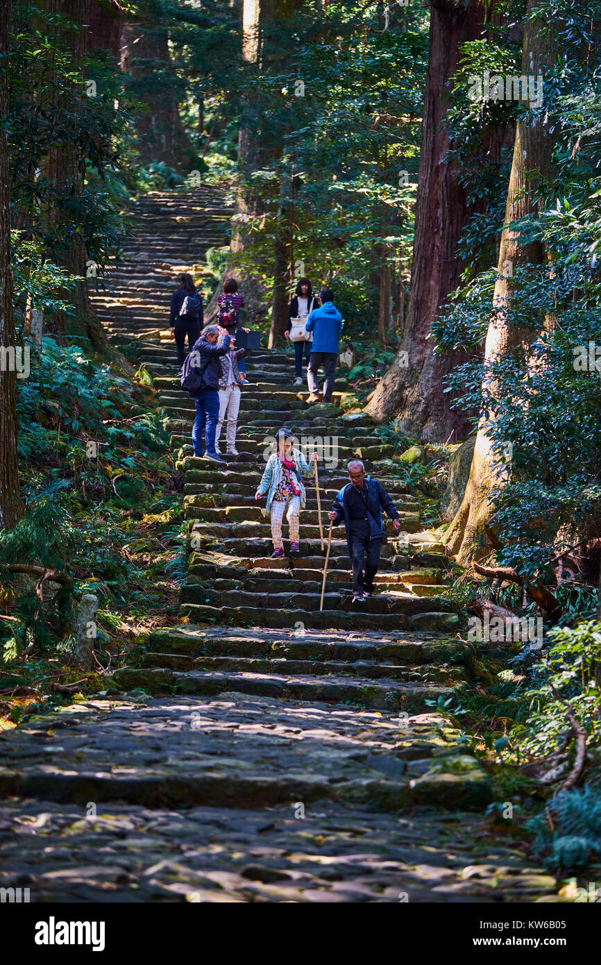 Japan, Honshu, Wakayama, Kumano Kodo pilgrimage trail Stock Photo - Alamy