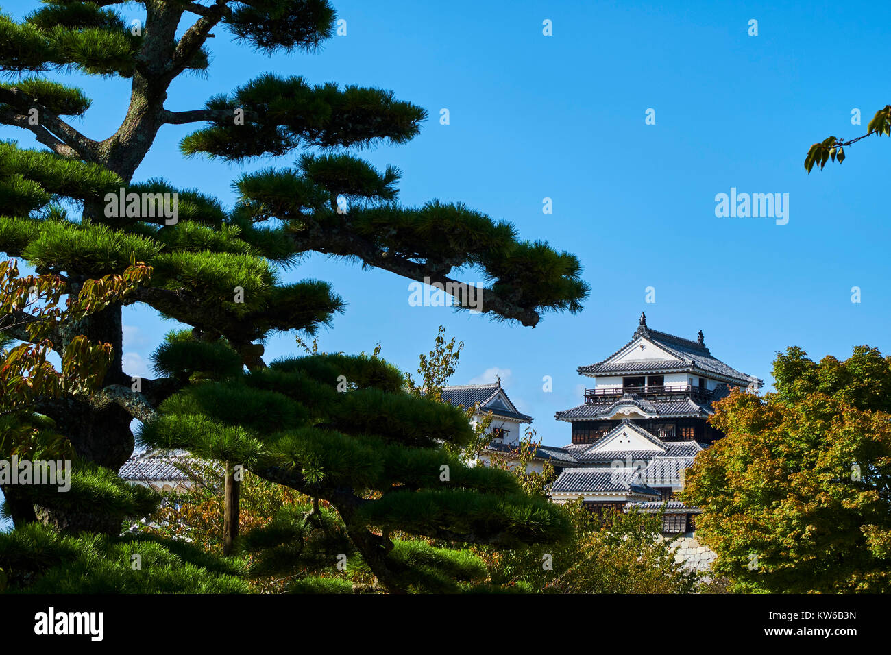 Japan, Shikoku island, Ehime region, Matsuyama, castle of Matsuyama-jo ...