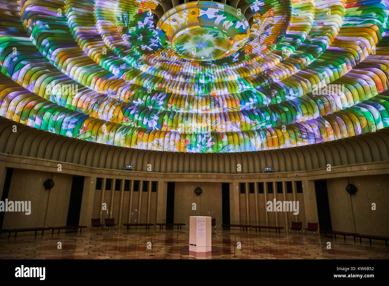 Moa hi-res stock photography and images - Alamy