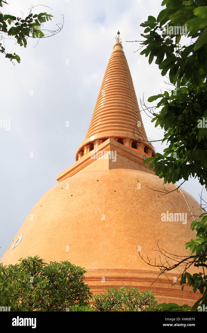 Tree and stupa Chedi Phra Pathom in Thailand Stock Photo - Alamy