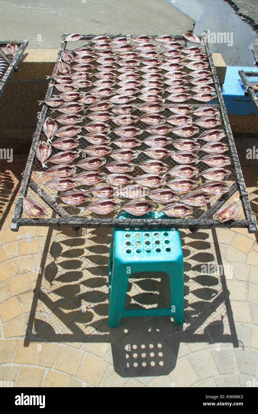 Fish Drying On Frame High Resolution Stock Photography and Images - Alamy