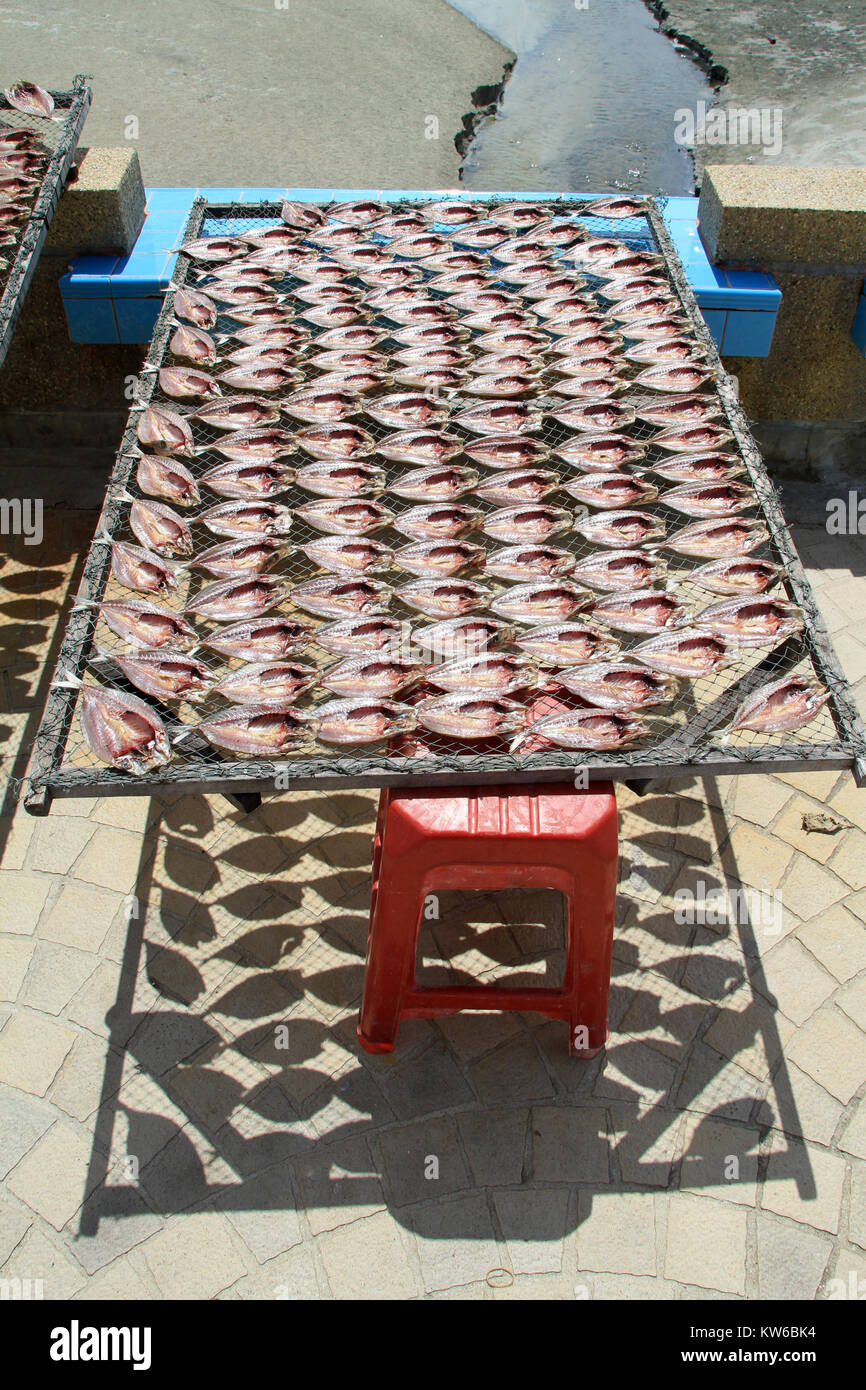 Alot of dry red fish on the frame under the sun Stock Photo - Alamy