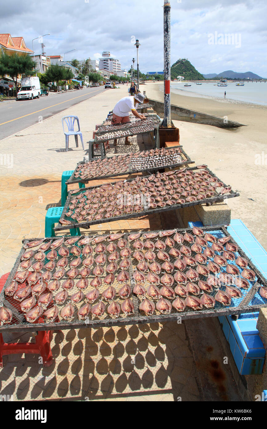 Fish drying on frame hi-res stock photography and images - Alamy