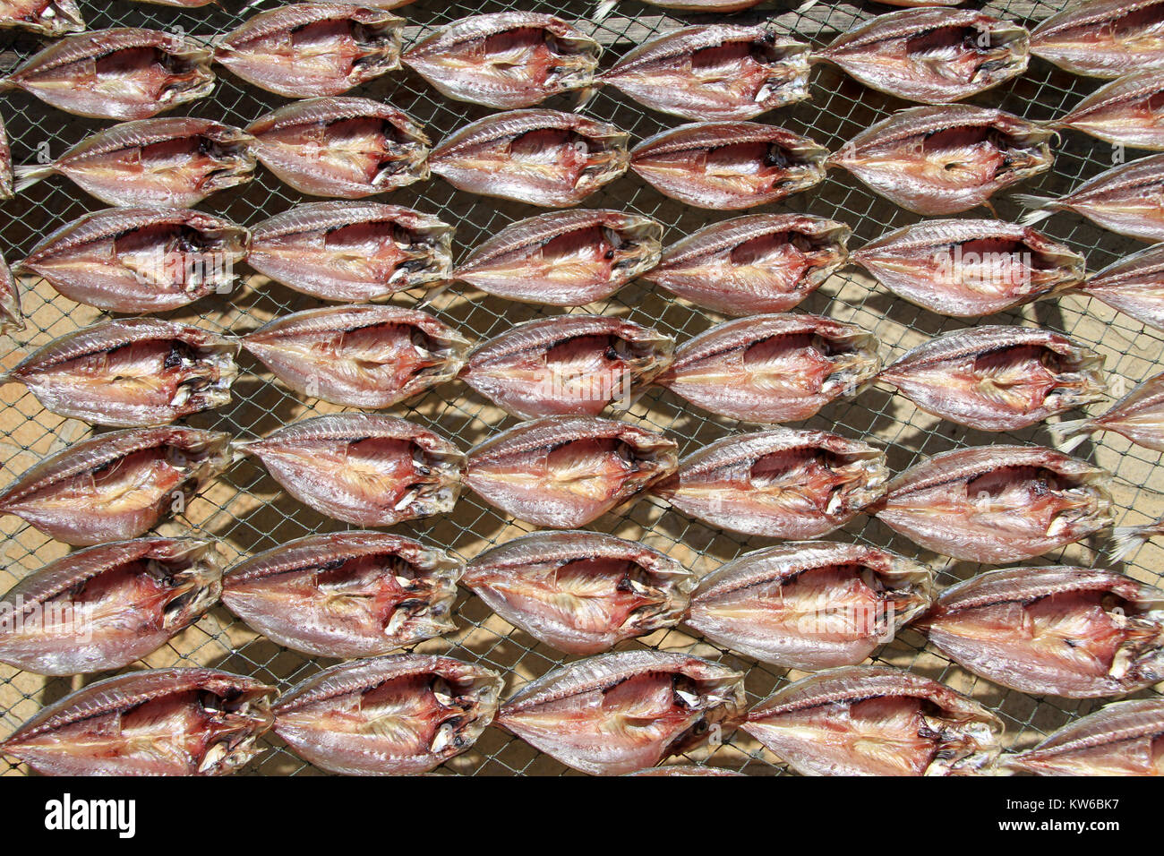 Fish drying on frame hi-res stock photography and images - Alamy