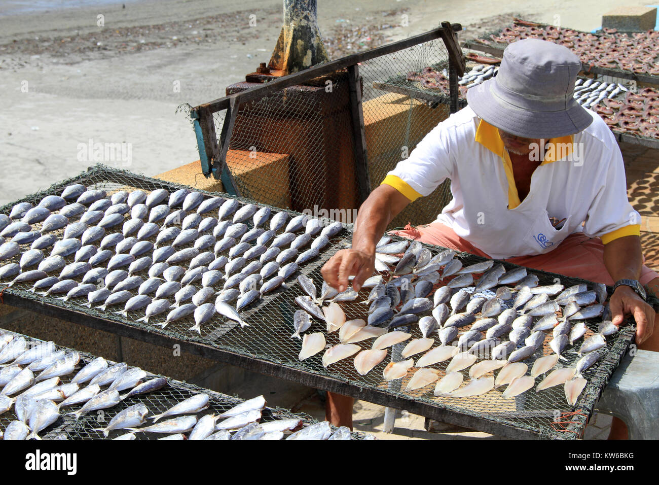 Fisherman with dry headless fish on the beach Stock Photo - Alamy