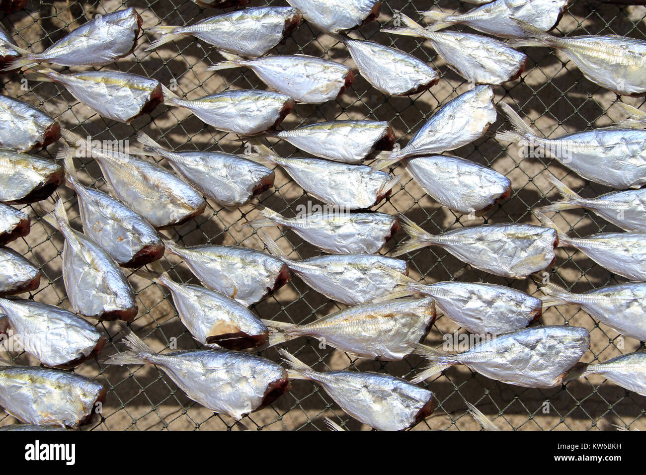 Dry headless fish cell on the stall Stock Photo - Alamy