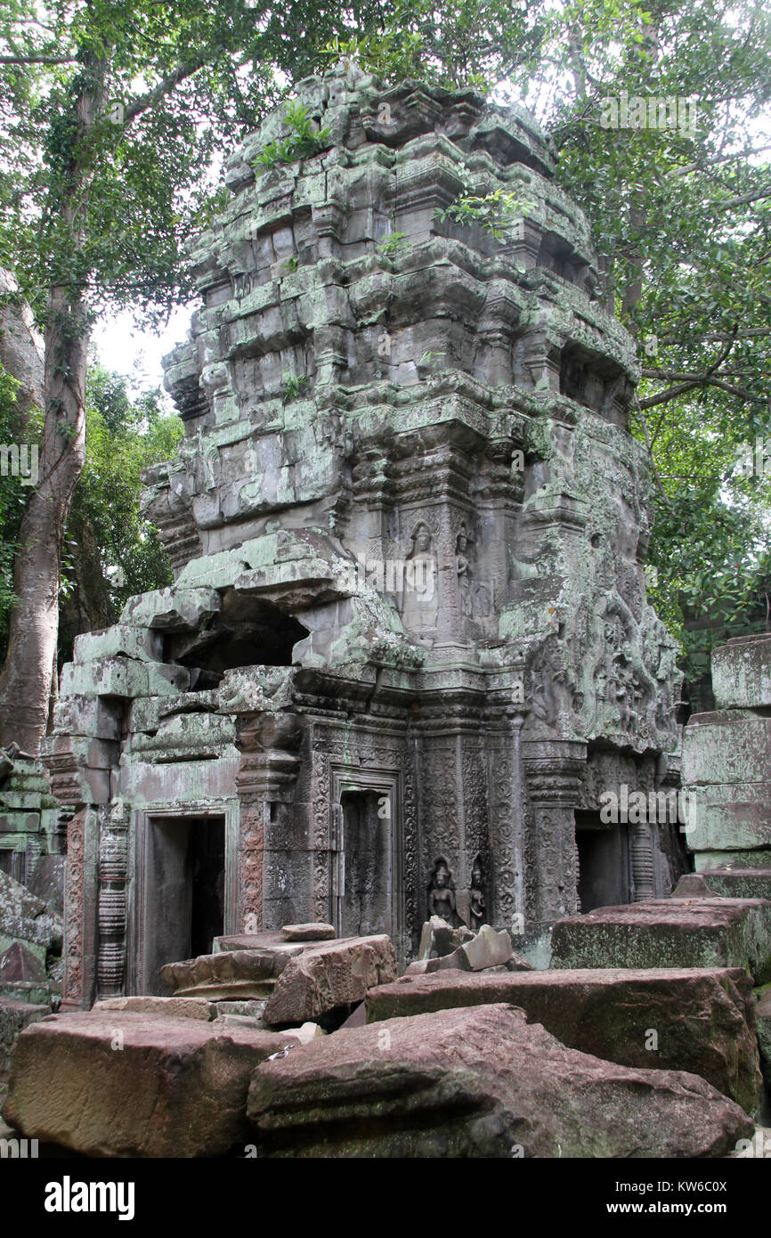 Tower and tree in Ta Prom temple, Angkor, Cambodia Stock Photo - Alamy