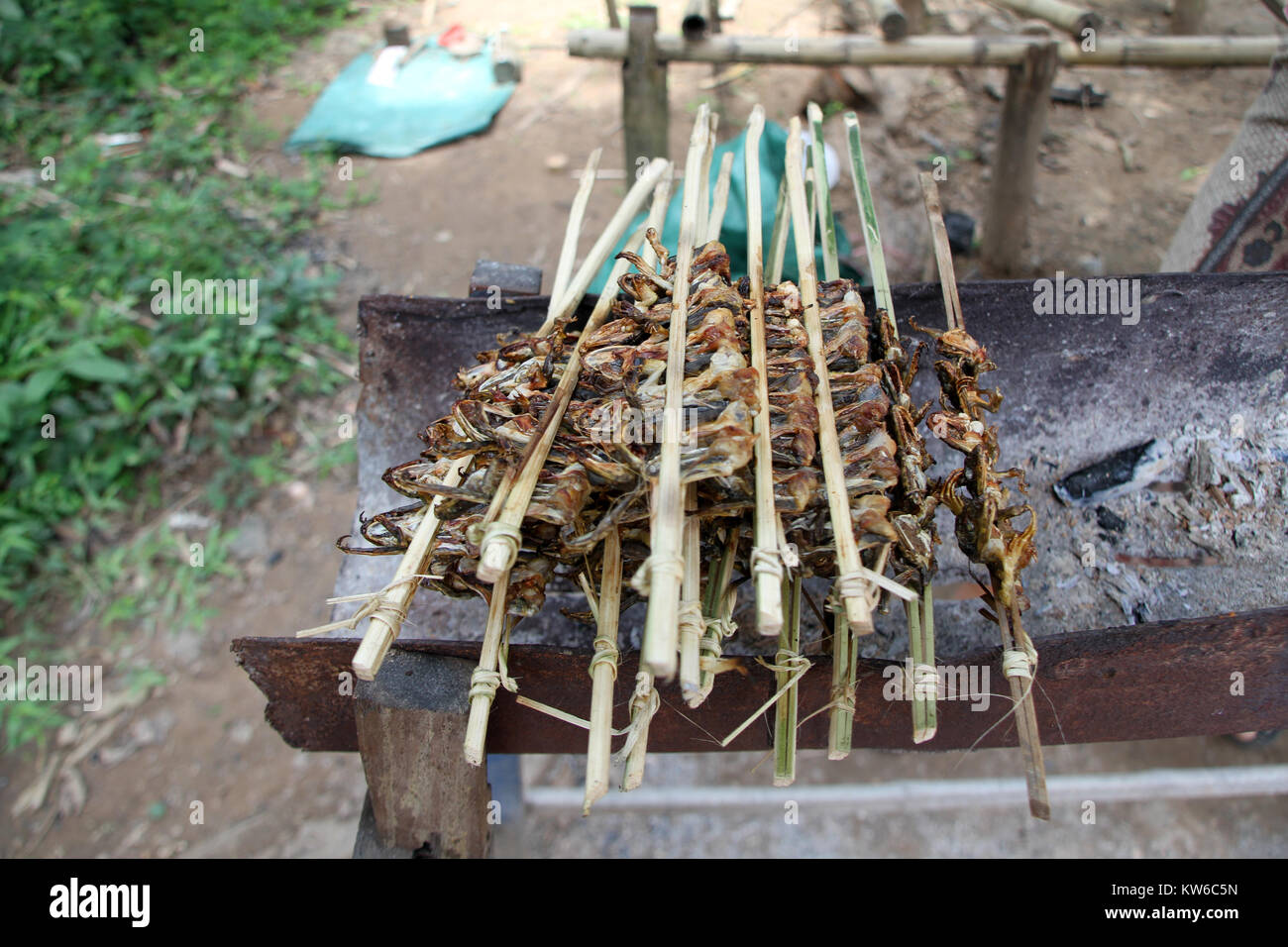 Frog Bbq High Resolution Stock Photography and Images - Alamy