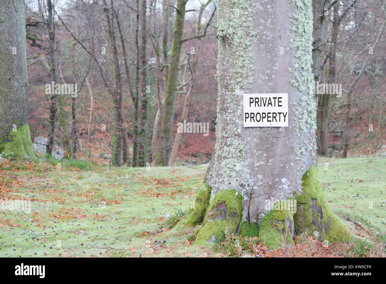 Private Property Sign on Tree at Country Land ºøEstate Stock Photo - Alamy