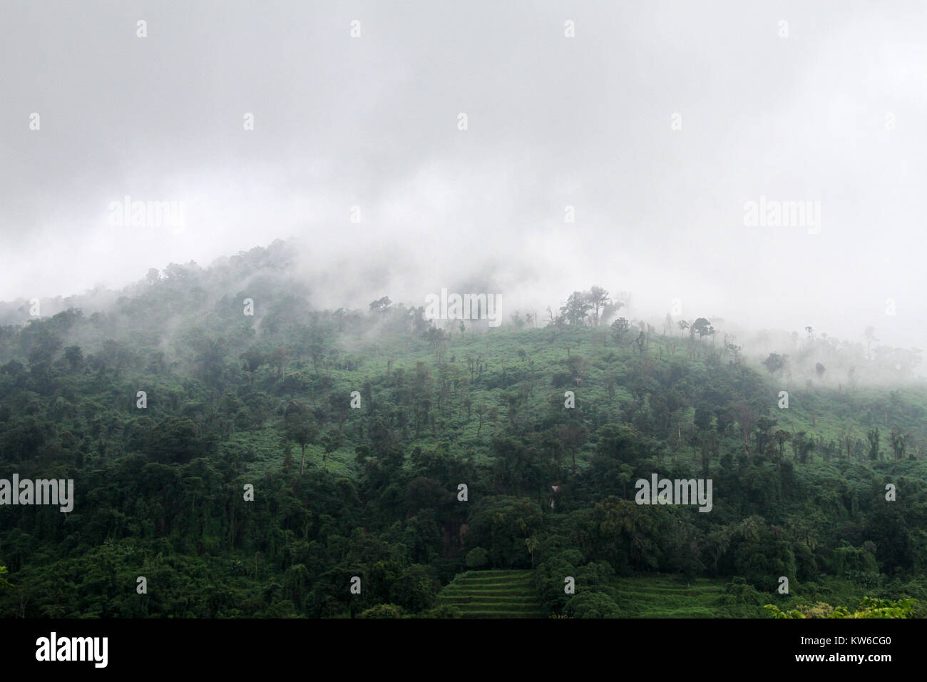 Day in rainy season in mountain, Champoasak, Laos Stock Photo - Alamy