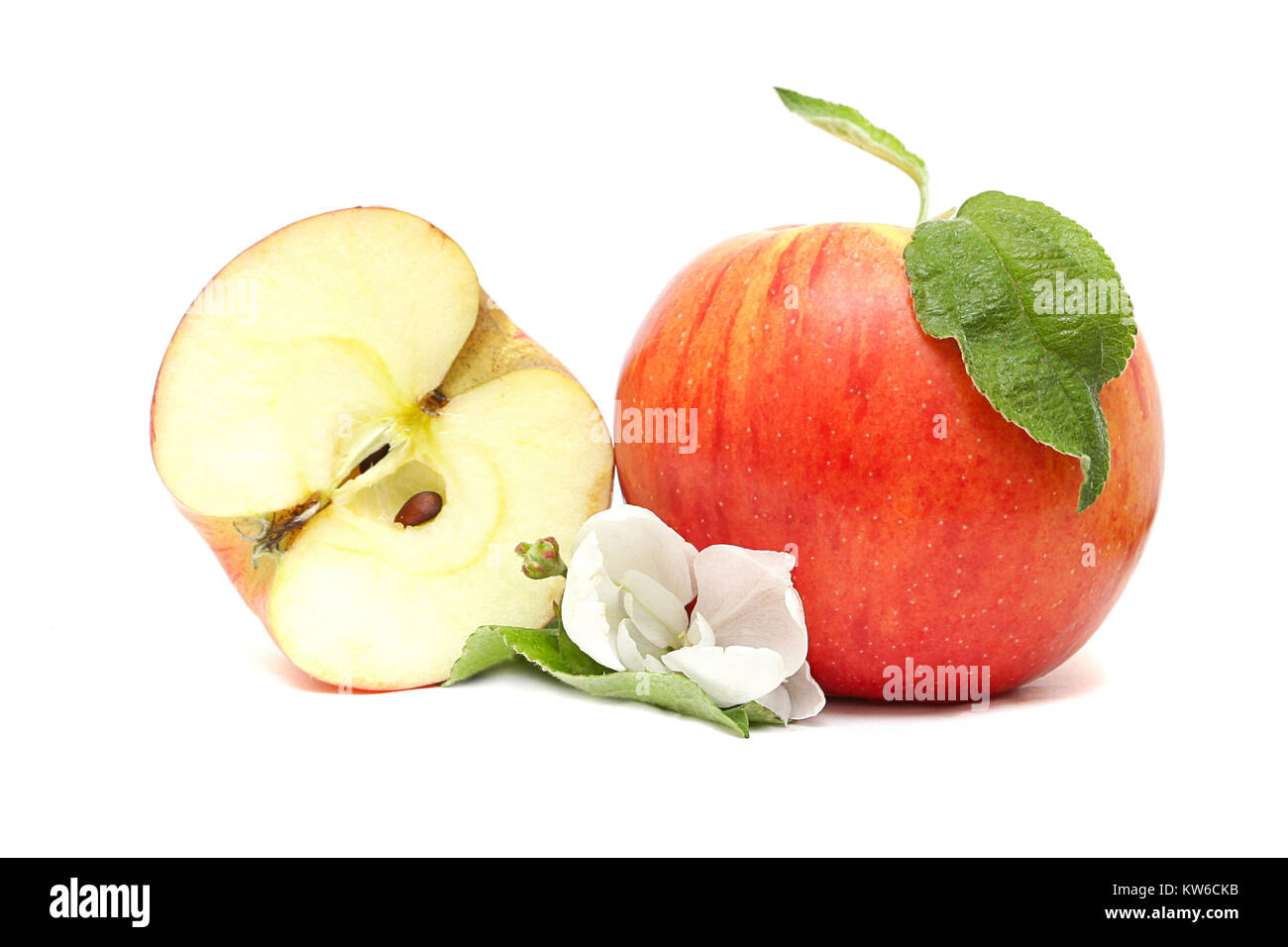 Red apple, half and flower on a white background Stock Photo - Alamy