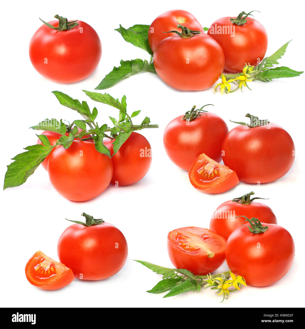 Tomatoes vegetable isolated on white background - collage Stock Photo ...