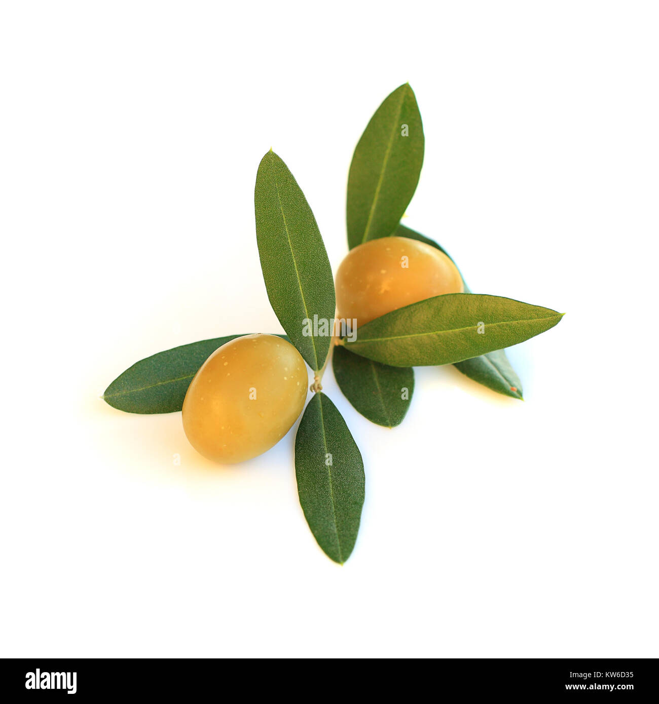 Olive isolated on white background Stock Photo - Alamy