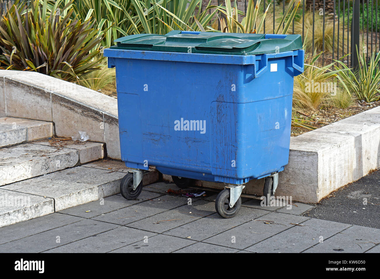 Blue plastic trash container at street Stock Photo - Alamy