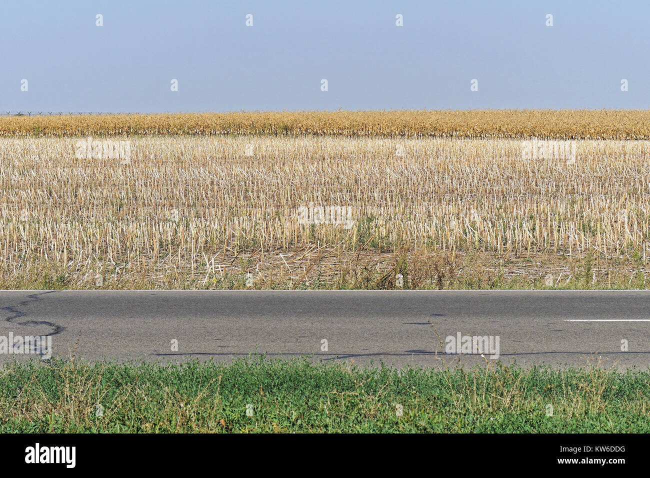 Harvested corn field in layers Stock Photo - Alamy