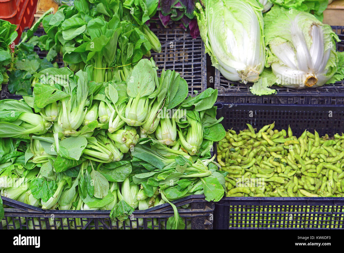 Pak choi chinese vegetables at asian market Stock Photo - Alamy
