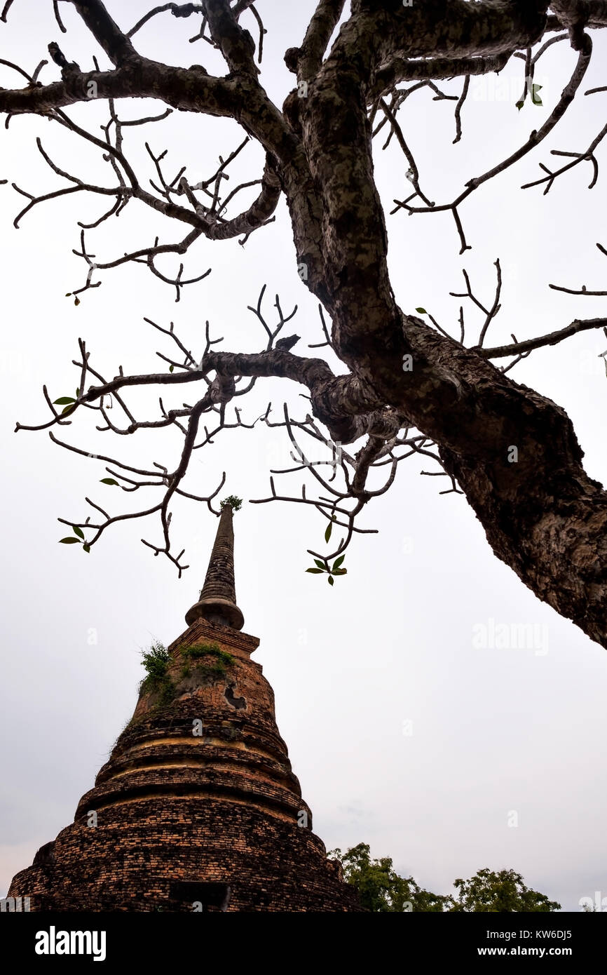 Old pagoda and died tree. Buddhism tower with gray sky on background ...