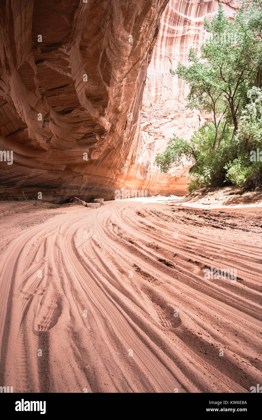 Sand road curve with wheel tracks in the Canyon de Chelly National ...