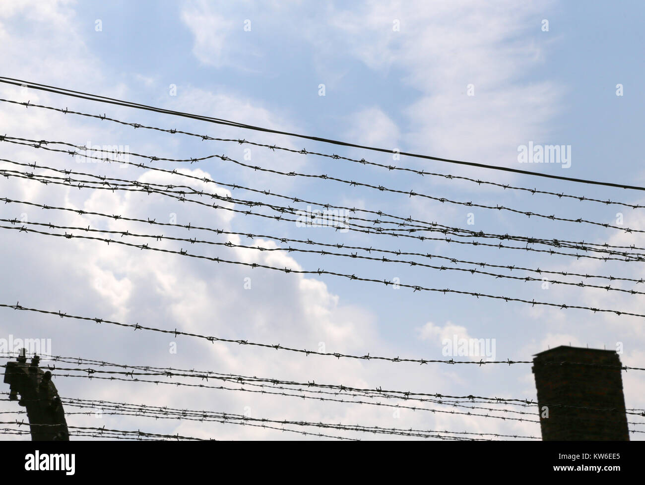 many barbed wires of an electrified border Stock Photo - Alamy