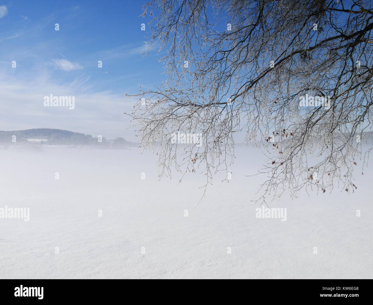 frozen drips on branch Stock Photo - Alamy