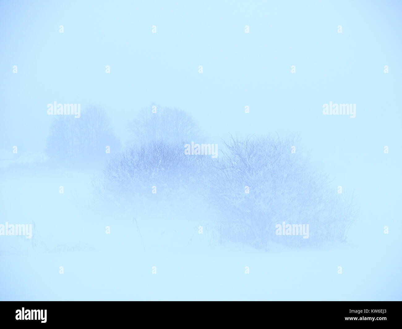 Beautiful winter landscape in the forest outside Stock Photo - Alamy
