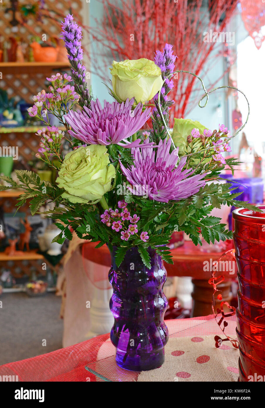 Fiji mums hi-res stock photography and images - Alamy